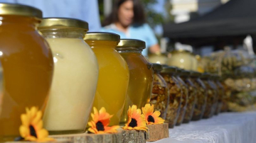 Cum să faci pateu vegetal acasă? 7 rețete de post care se fac rapid ...